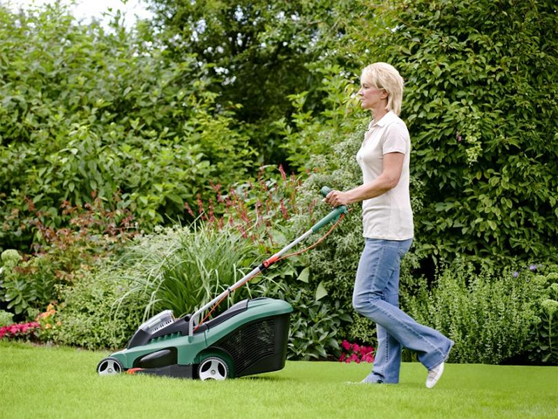 Bien tondre le gazon, est-ce nécessaire ? – Innov habitat